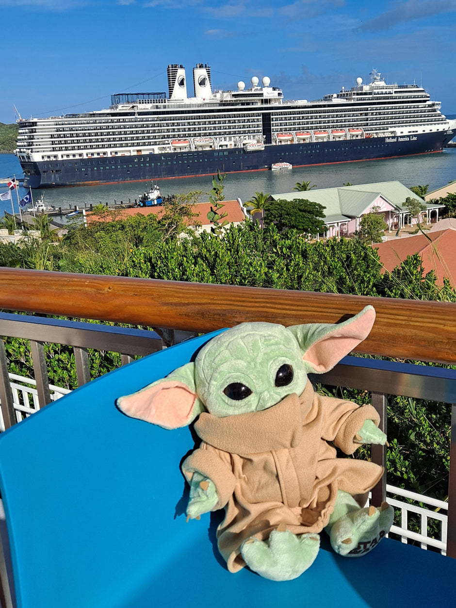 Top Shore Excursions for Galveston Cruises: Cozumel, Costa Maya, and M ...